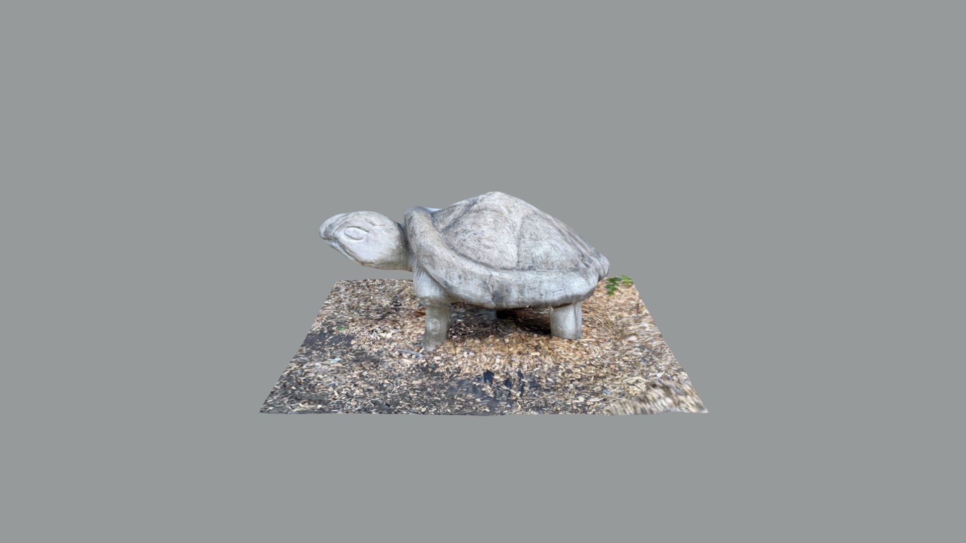 Turtle - Download Free 3D model by MindExpansionNetwork [faeca9e ...