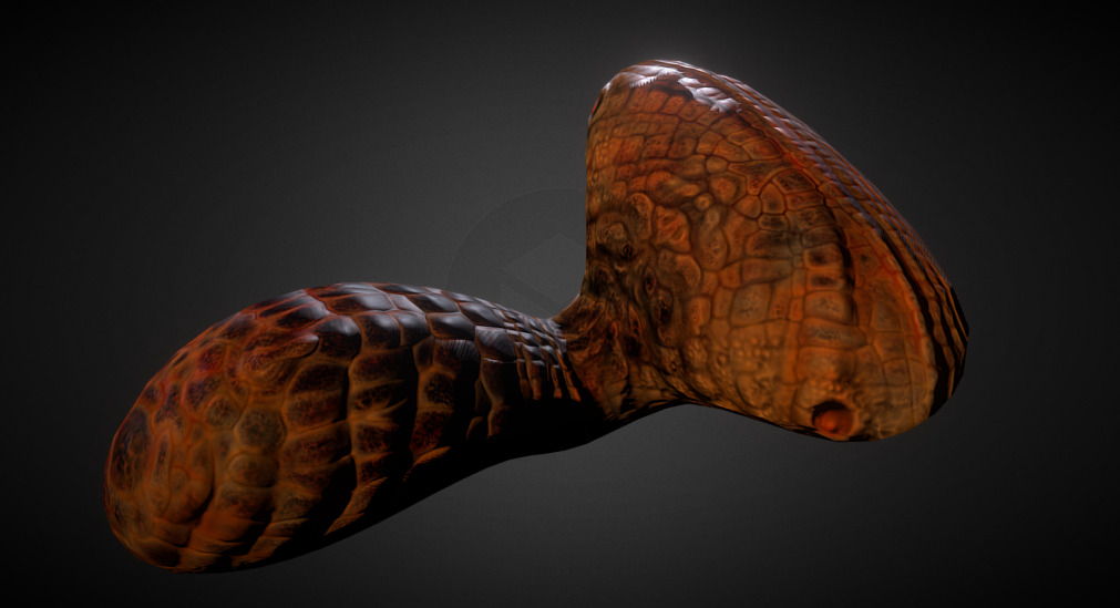 Martian Worm - 3D model by Alf Neil (@Edred) [faee6cf] - Sketchfab