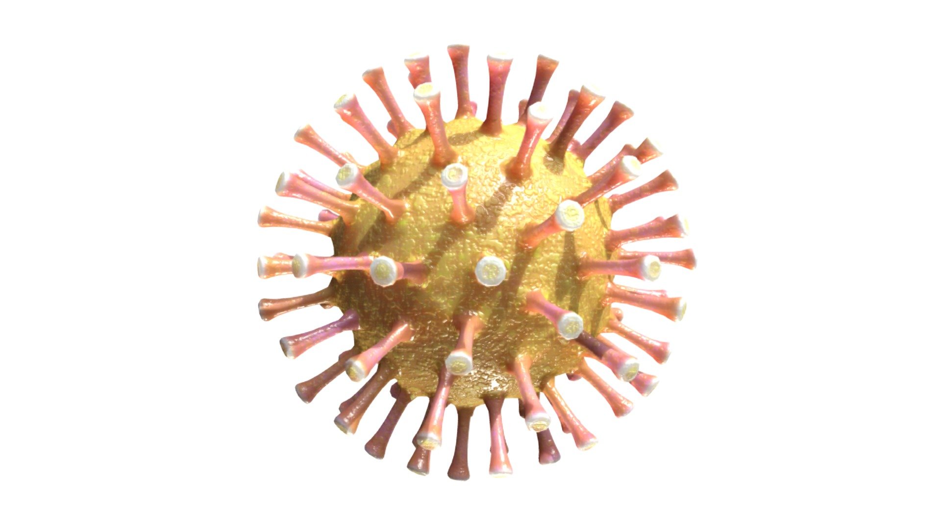 Corona Virus Covid 19 - Buy Royalty Free 3D model by zames1992 [faf3518 ...