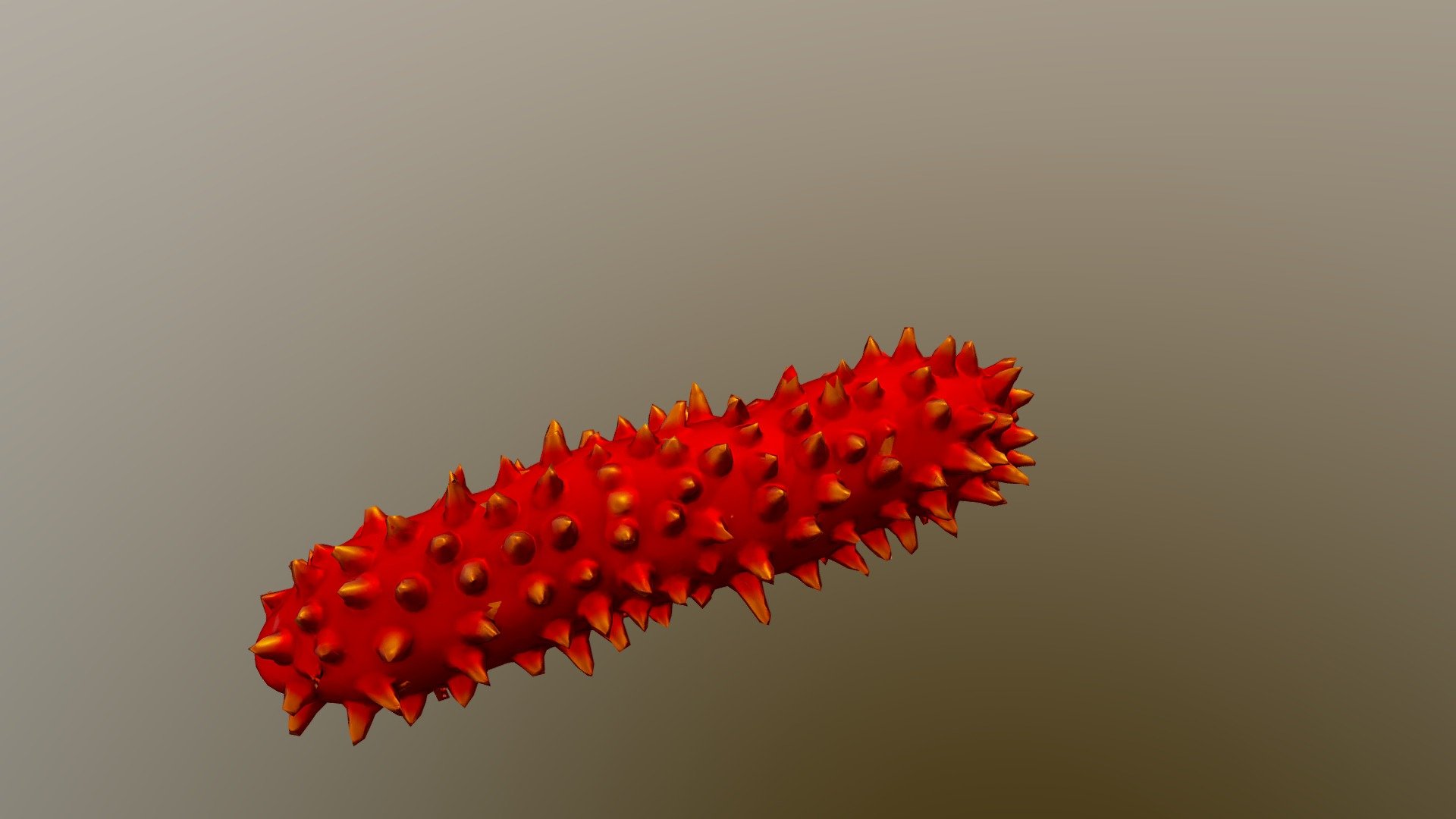 Sea Cucumber - 3D model by Mahonri [faf7192] - Sketchfab