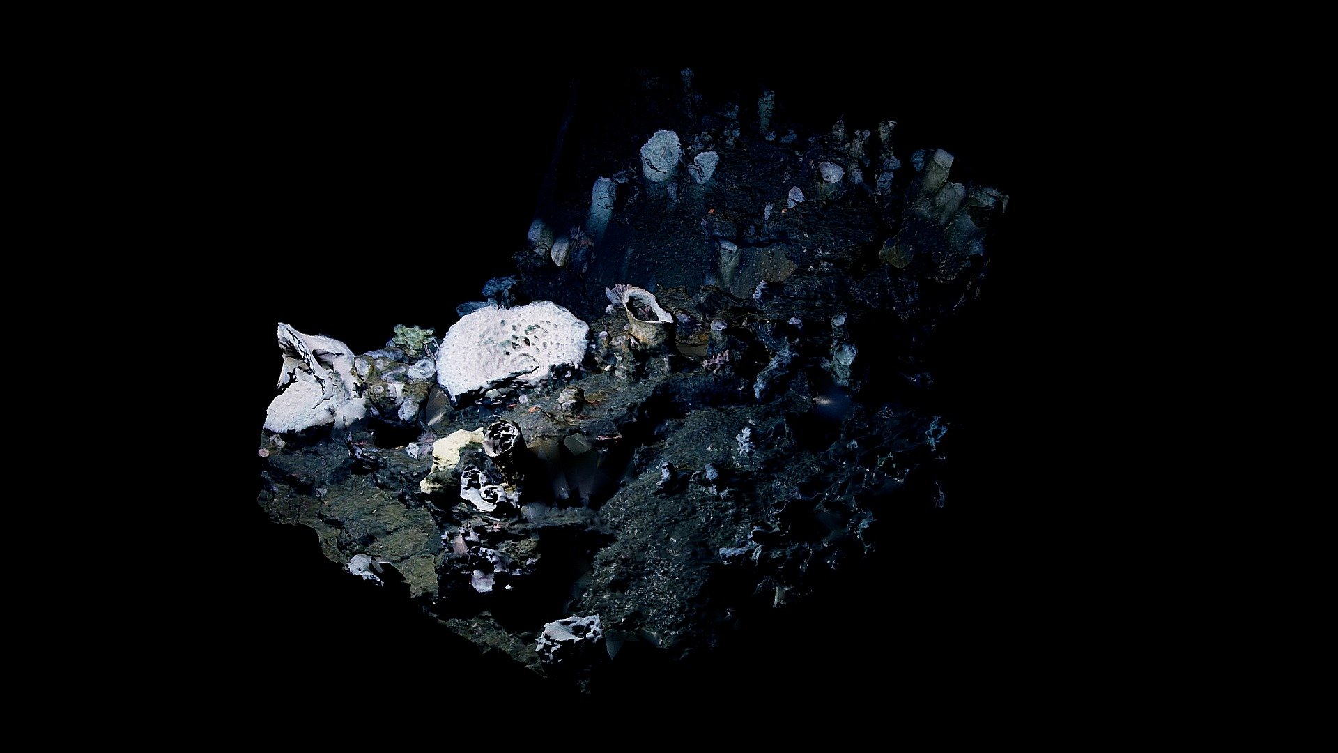 Low Poly Deep Sea Ground Surface #2 - Buy Royalty Free 3D model by ...