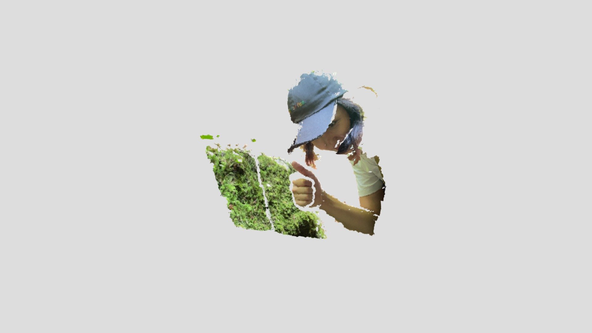 Moss - 3D model by klimentinali [fb02ac5] - Sketchfab
