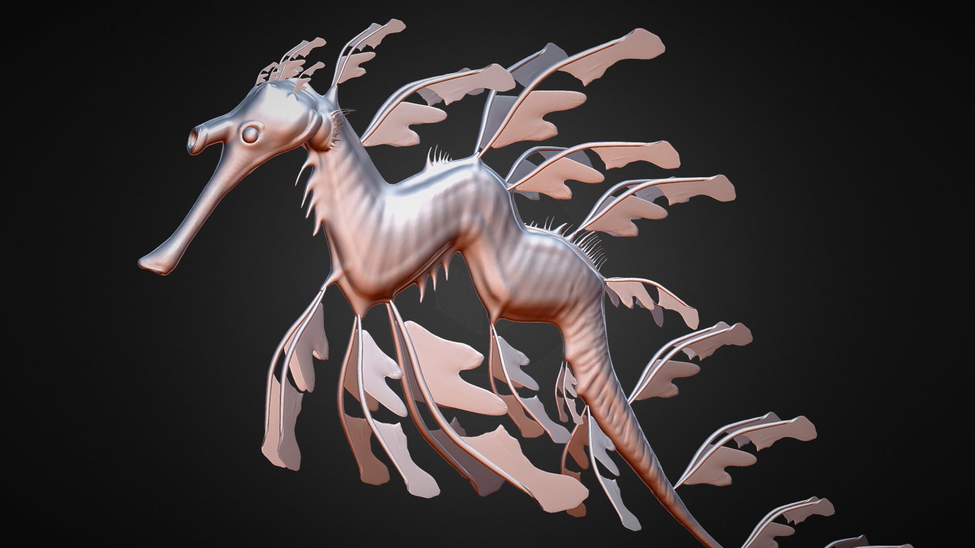 Leafy Sea dragon - 3D model by Coolblu [fb0c1ea] - Sketchfab