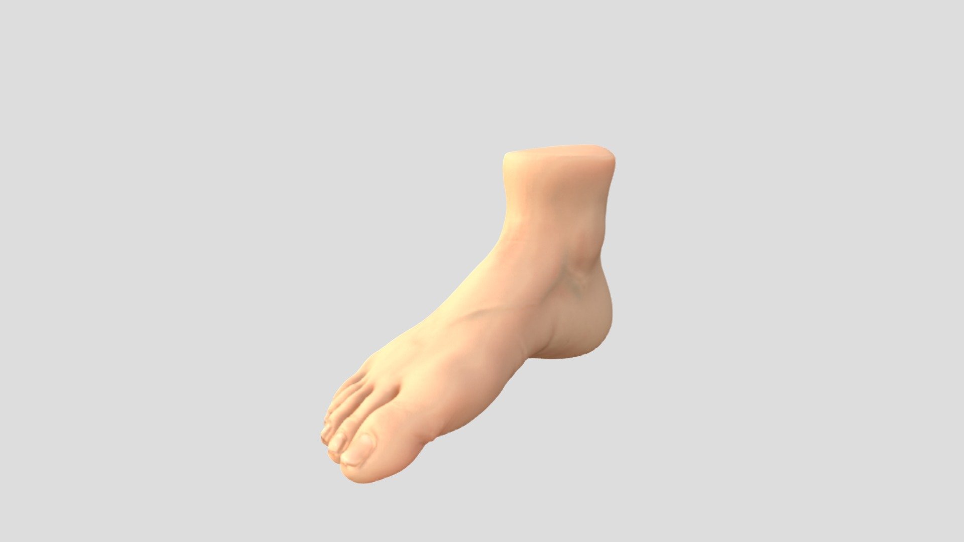 Foot sculpt, University assignment - Download Free 3D model by holomoon ...