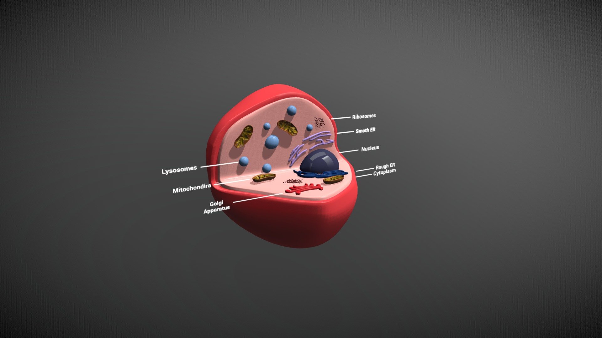RBC - 3D model by Simply_Better (@andreeva.yana.1311) [fb18d76] - Sketchfab