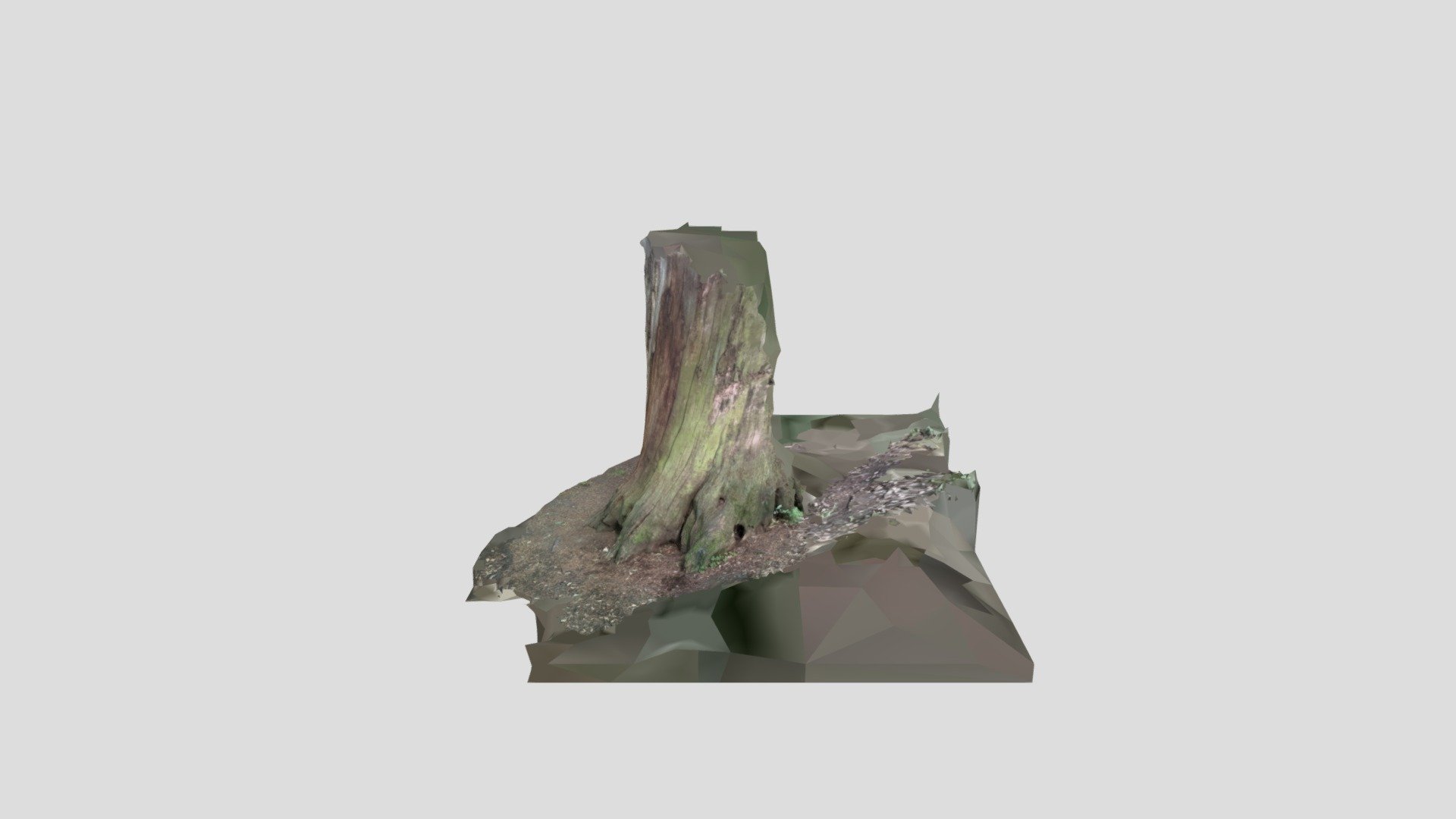 Tree1 - 3D model by daniildany32 [fb1dbda] - Sketchfab