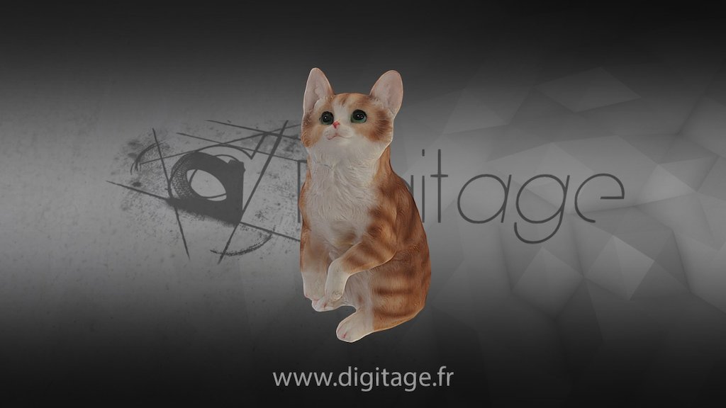 Chat - 3D model by Digitage [fb22198] - Sketchfab