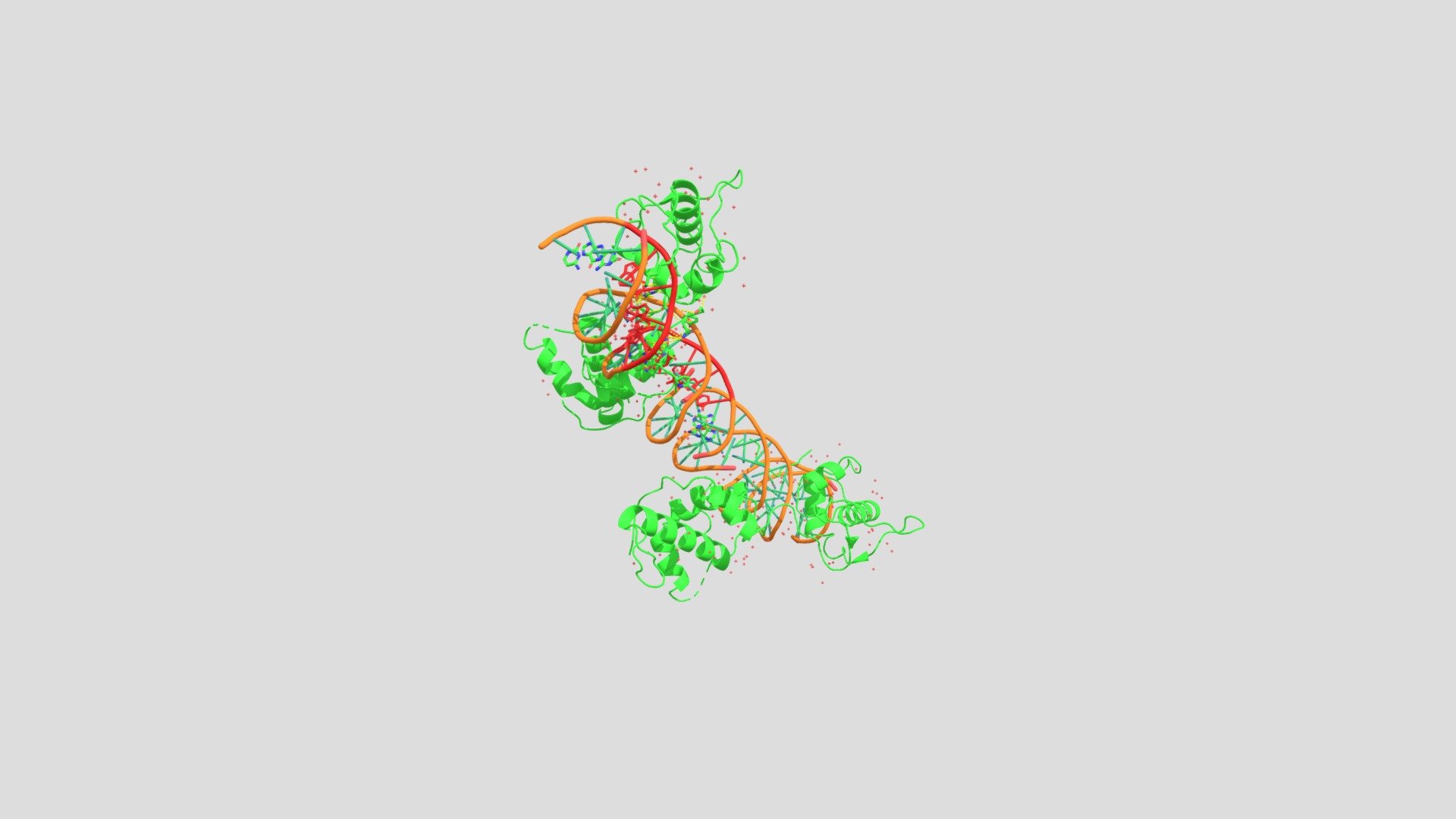 1IGN Annotated Protein model - 3D model by mwolf01 [fb376a9] - Sketchfab