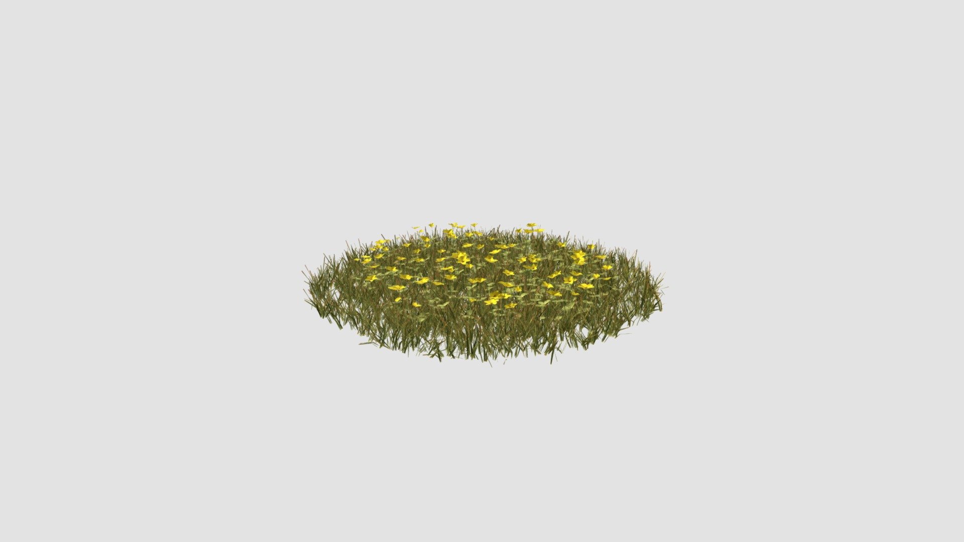 simple grass large - Buy Royalty Free 3D model by Evermotion [fb3fbd4 ...