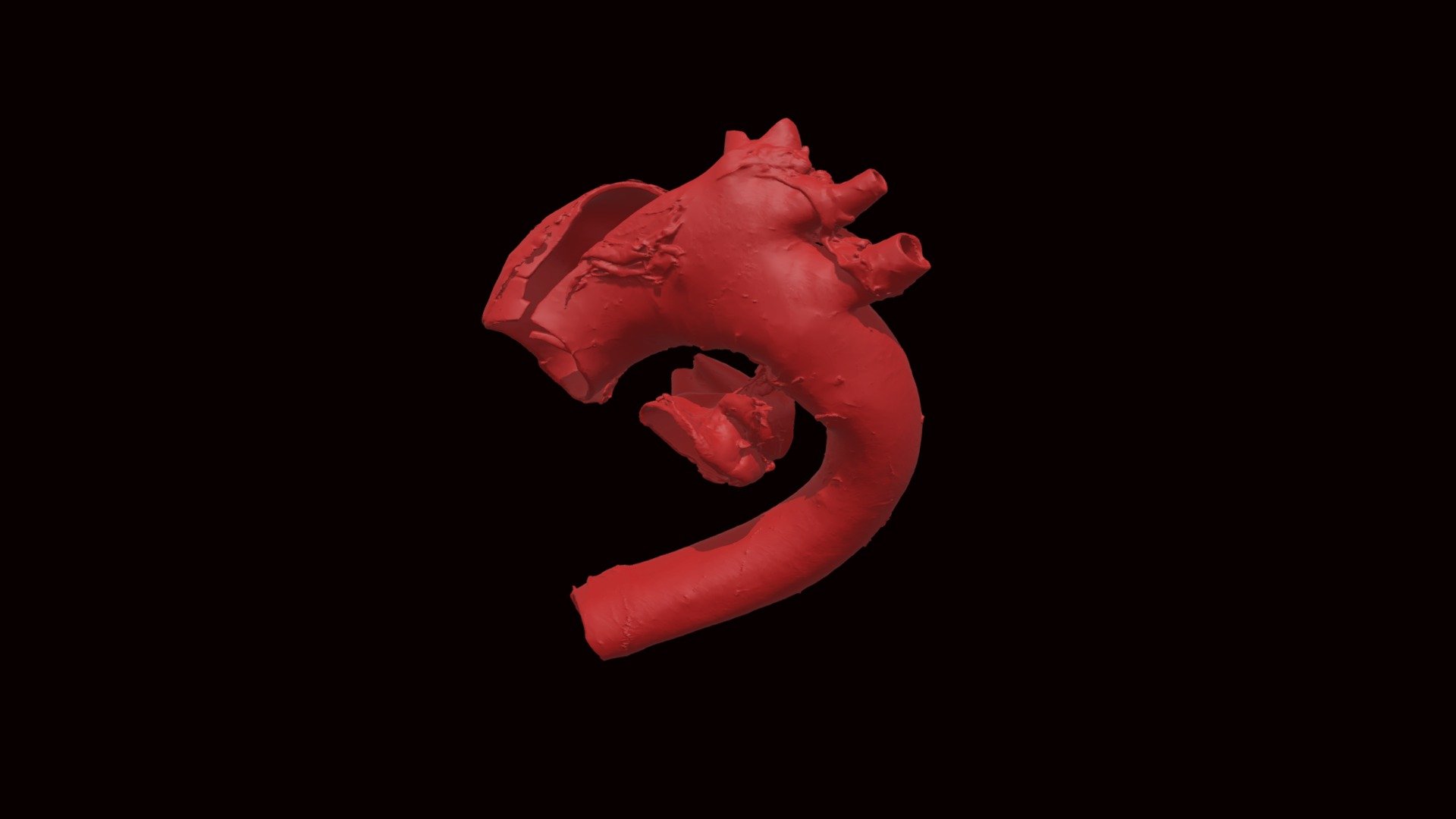 CC36964 Aorta Only - Download Free 3D model by VisibleHeartLabs ...