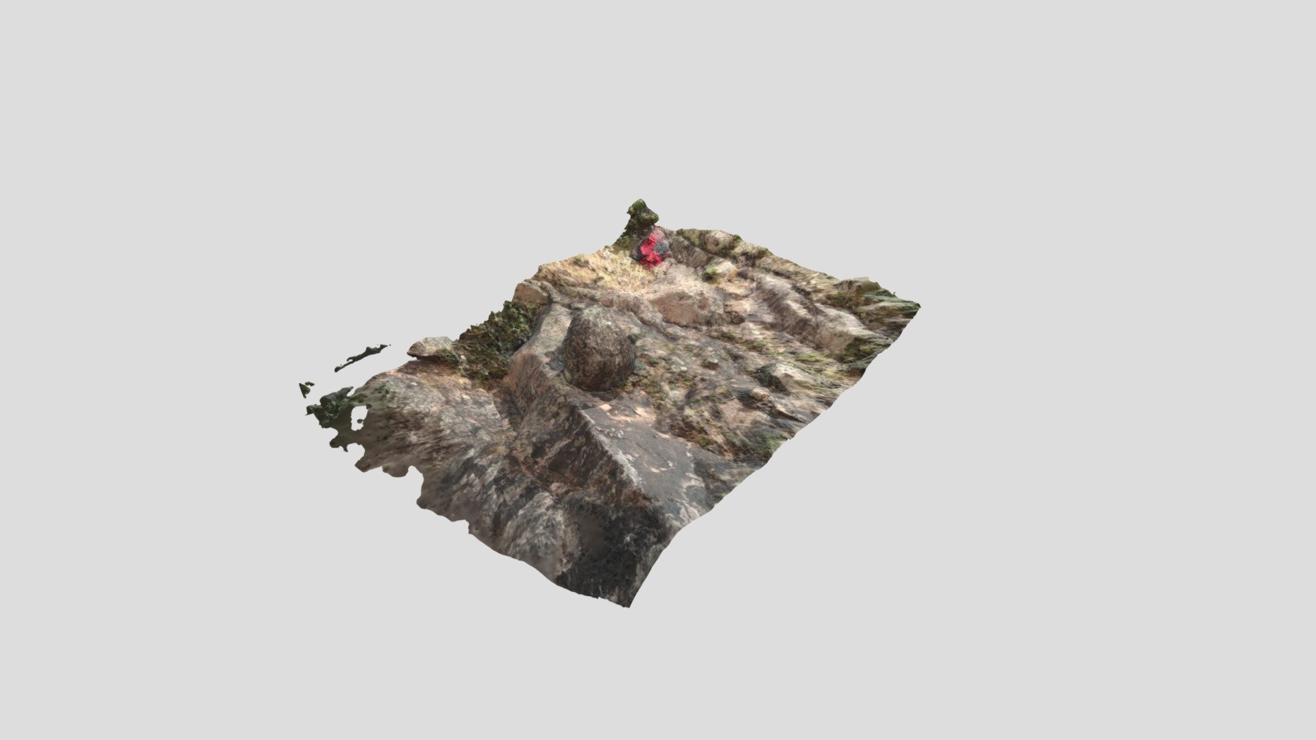 FOA1-27-MS-2021-49_935--94_112-1 - 3D model by Forest Object Archive ...