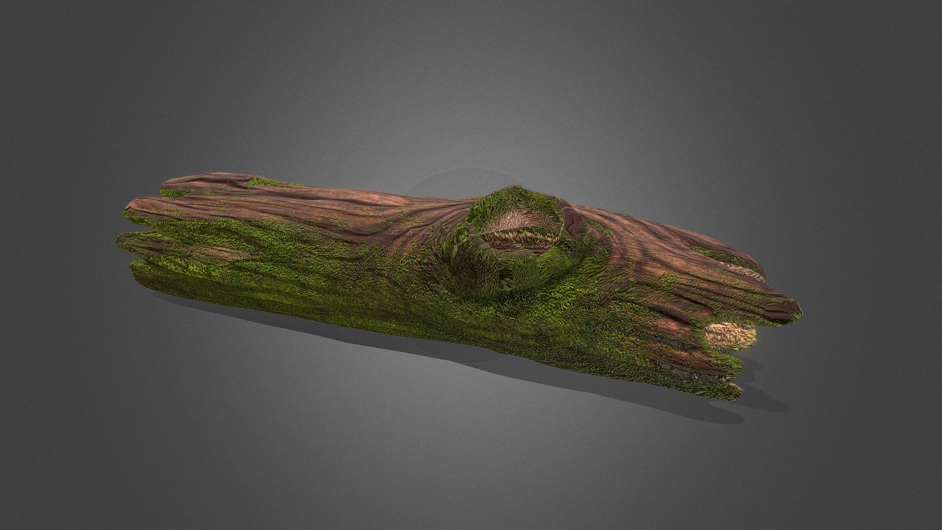 Stylised Log: Redbud Lowpoly - Download Free 3D model by Carolina ...
