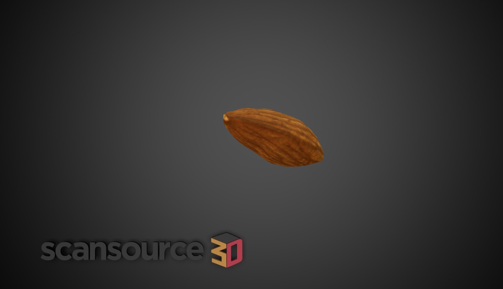 Almond - Download Free 3D model by ScanSource 3D (@scansource3d ...