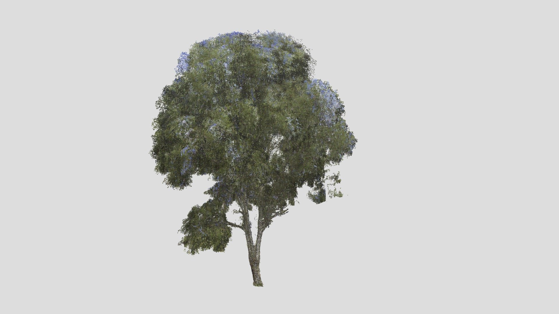 Tree Point Cloud - Buy Royalty Free 3D model by magnum_opus (@tree ...