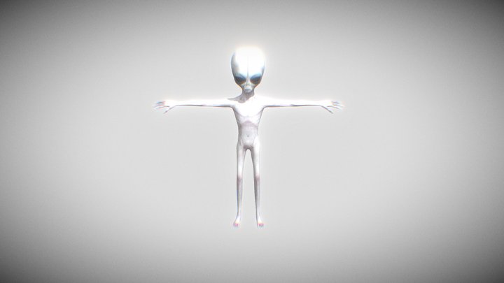Among-us 3D models - Sketchfab