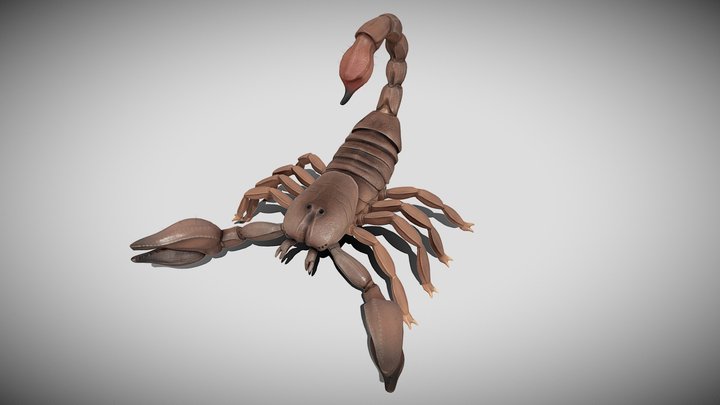 Scorpions 3D models - Sketchfab