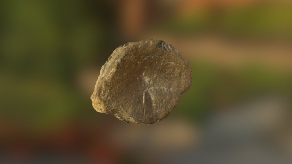 Metoposaur Veretbra (VCU_3D_2396) - 3D model by Virtual Curation Lab ...