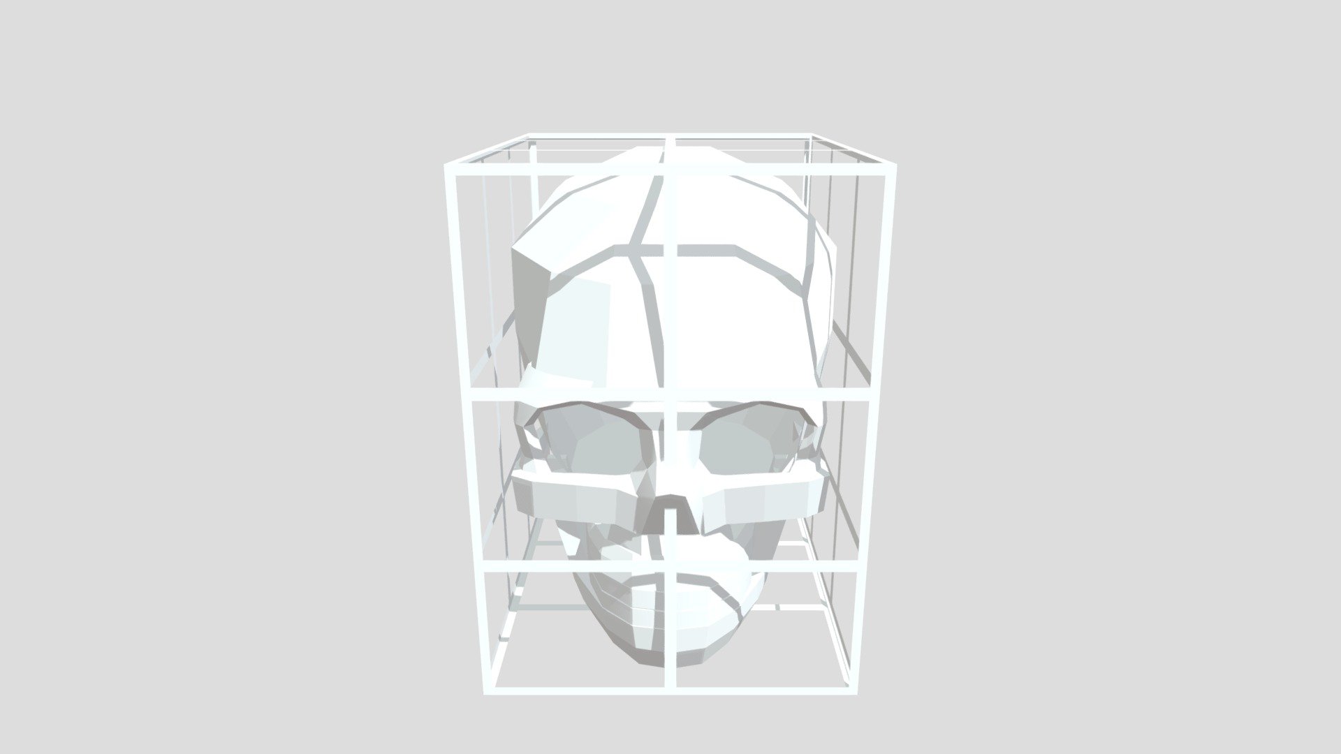 Scull Proportions Box - Download Free 3D model by bikravnis [fb6bd40 ...