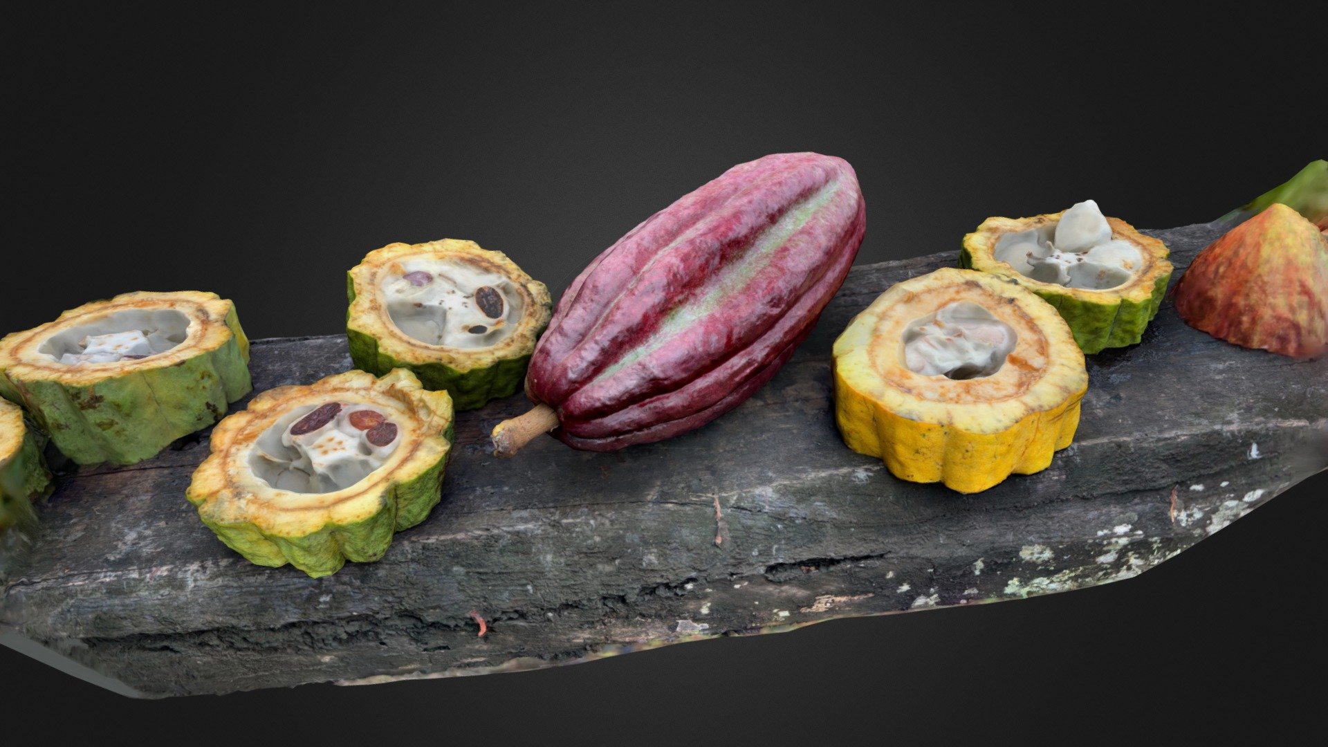 Cacao colombiano - Download Free 3D model by Aumentados [fb6e2d1 ...