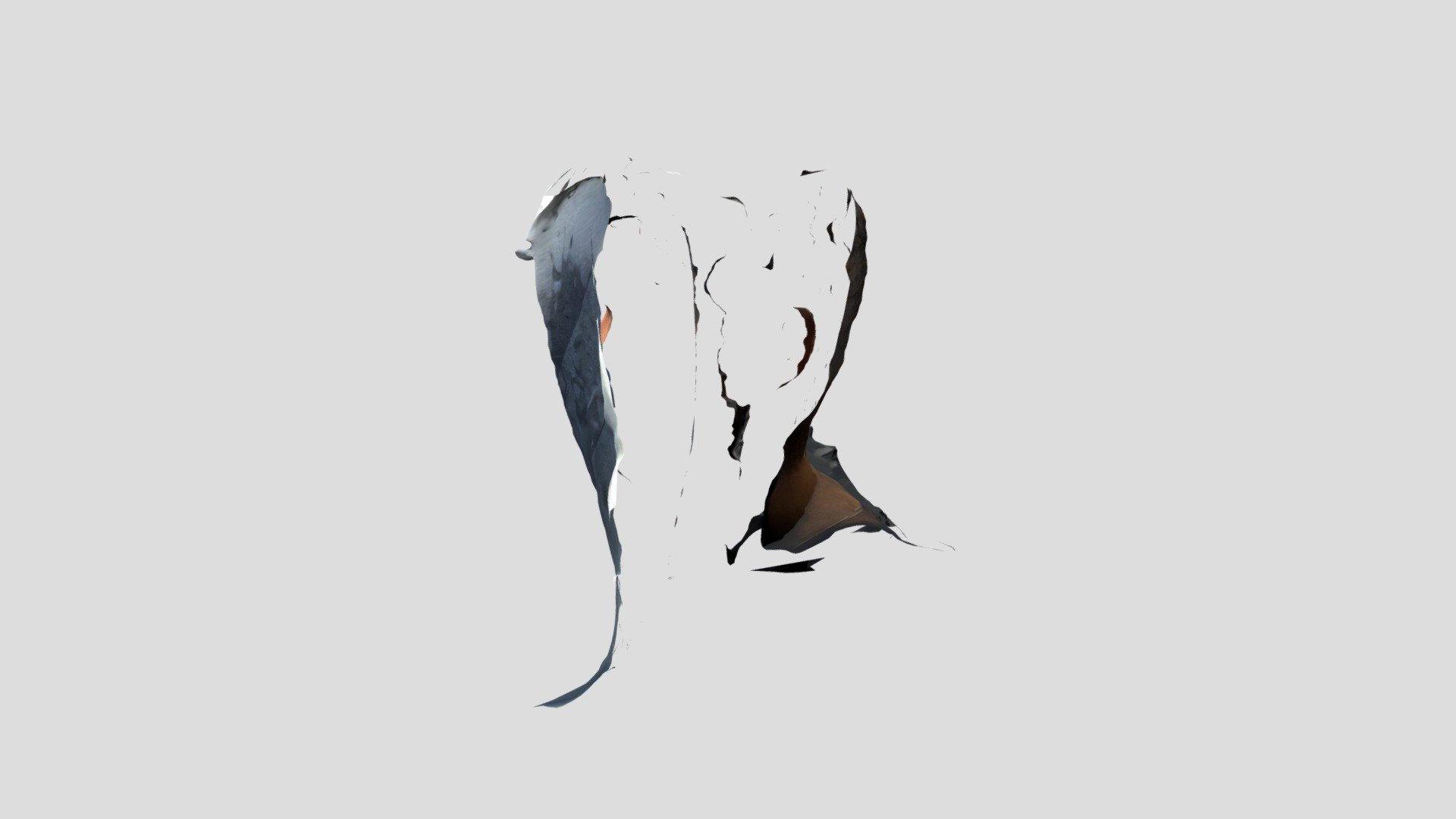 Kobe's head - 3D model by ashleykohenn [fb6fe61] - Sketchfab