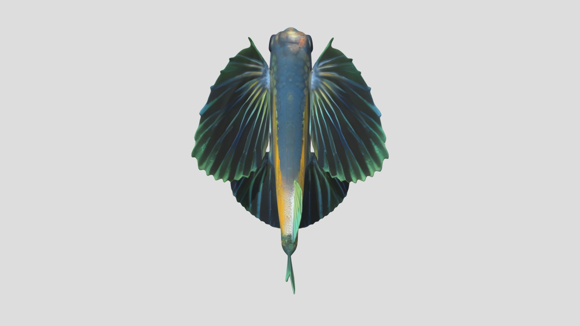Create a 3D model of a juvenile flying fish (sc - 3D model by toshiki ...