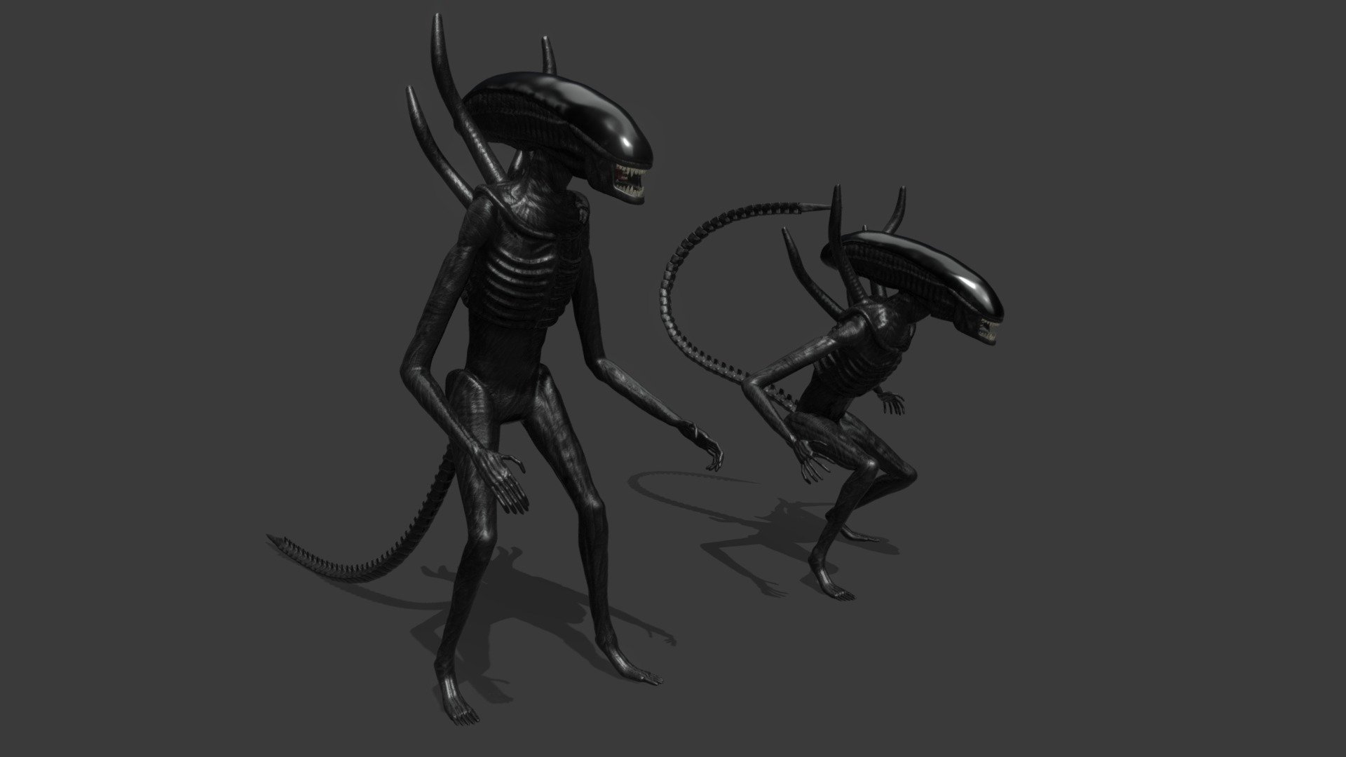 Xenomorph - Download Free 3D model by bkflinn [fb82ad1] - Sketchfab