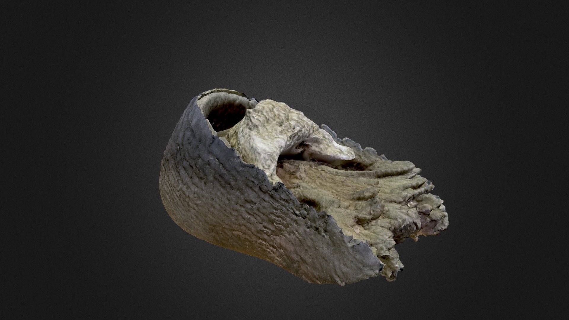 SA2 S3E8 - Download Free 3D model by Nrodriguezs [fb84870] - Sketchfab
