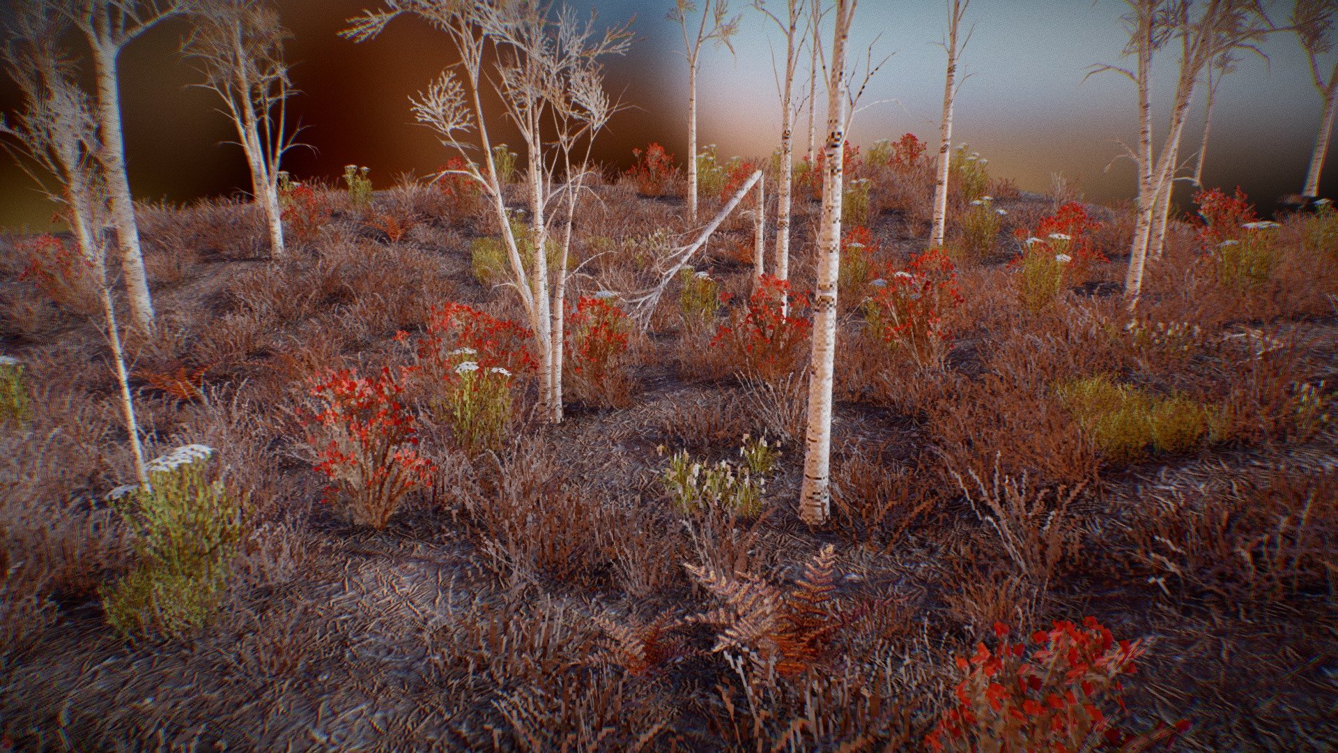 Stylized Birch Forest Environment - Buy Royalty Free 3D model by Serhii3D [fb85cbc] - Sketchfab ...
