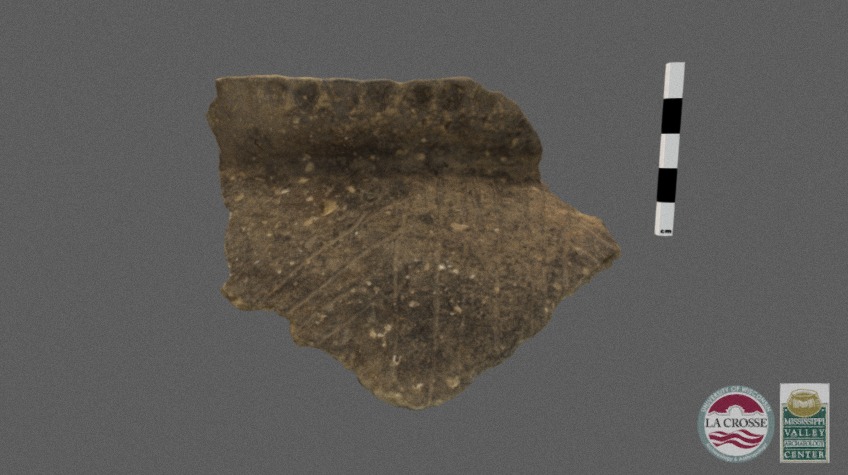 Perrot Punctate v Bold Lip - Download Free 3D model by William Feltz ...