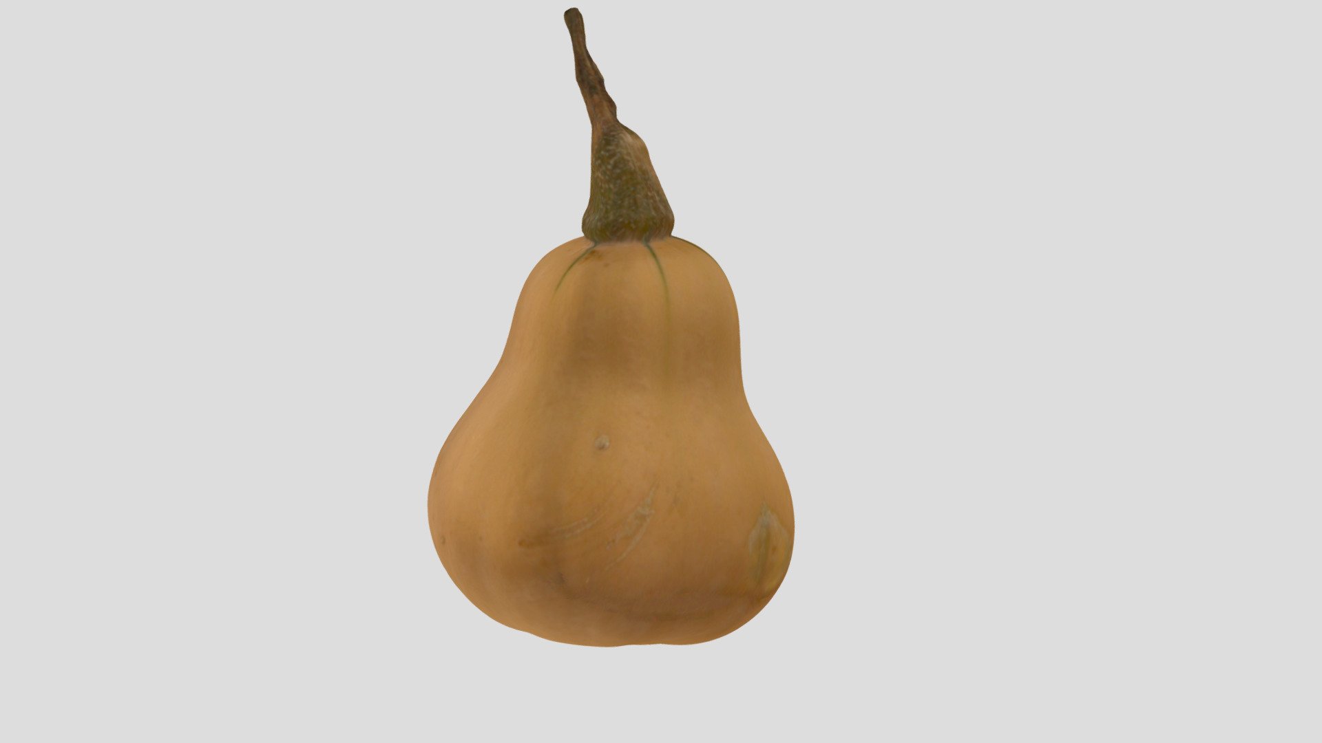 Pupkin_7 - Buy Royalty Free 3D model by Simon3Dscan [fb8d52e ...