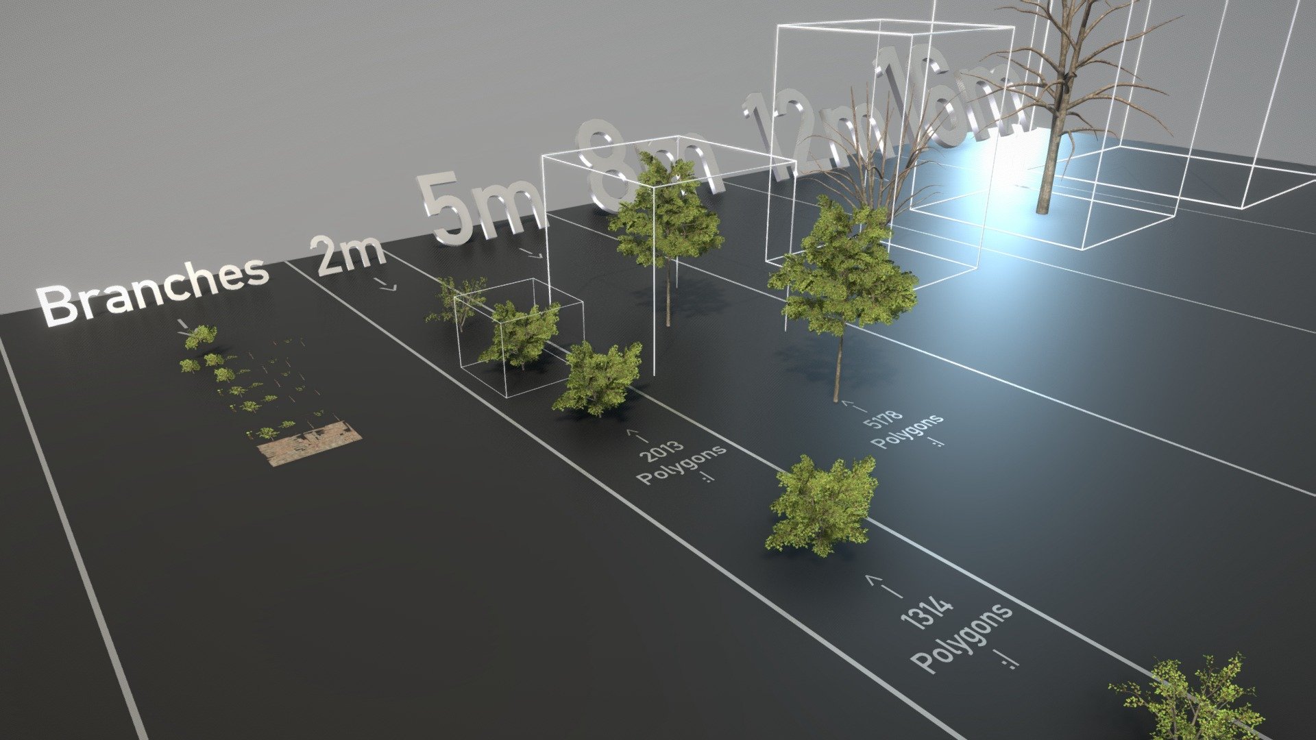 Hazelnut Tree (Wip-3) - 3D model by VIS-All-3D (@VIS-All) [fb91b27 ...