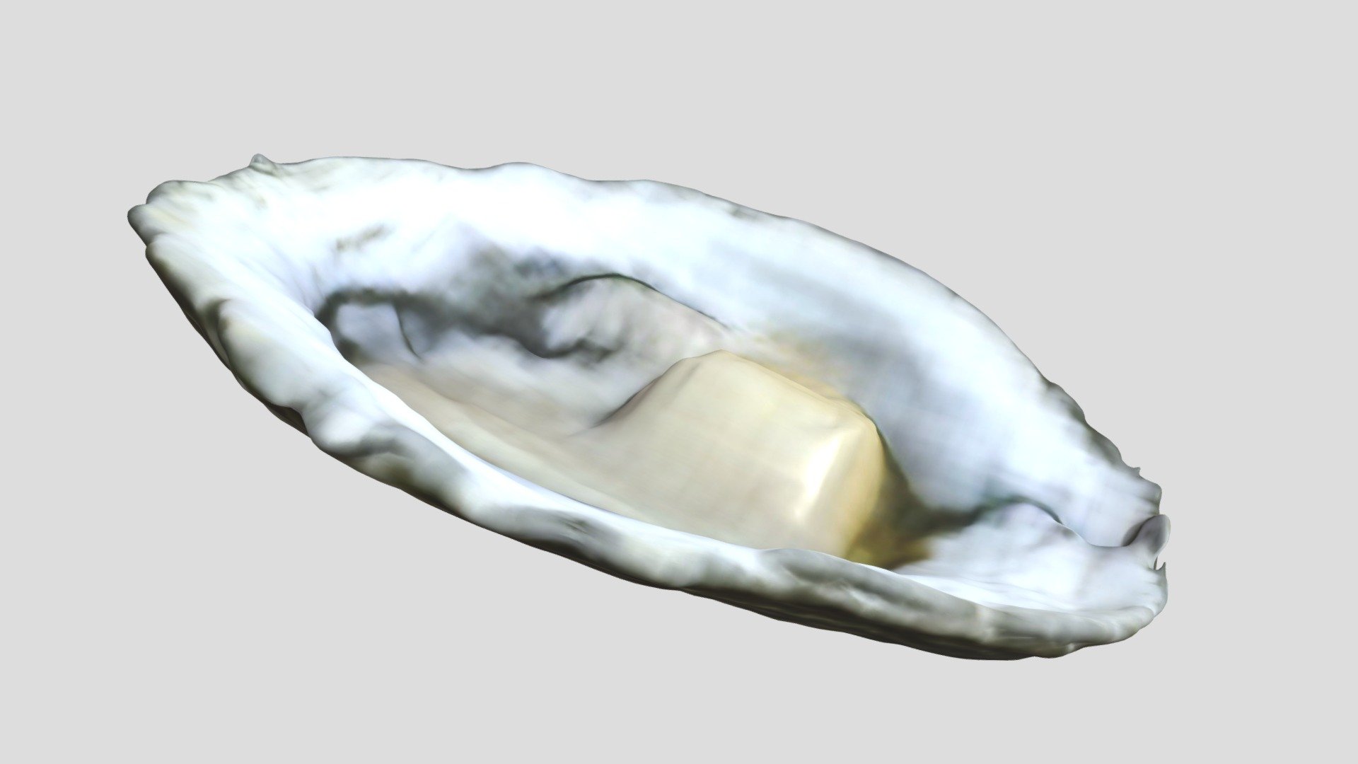 oyster 3d asset - Download Free 3D model by karpeevdesign [fb994a7 ...