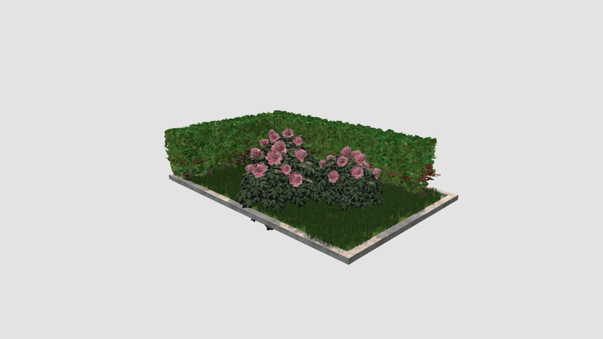 hedge - Buy Royalty Free 3D model by Evermotion [fb99b23] - Sketchfab Store