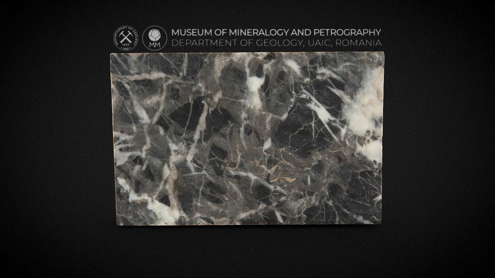 M is for Marble rock - 3D model by Museum of Mineralogy and Petrography ...