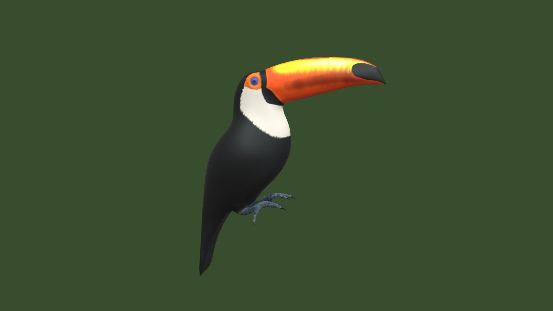 Toucan - 3D model by mg53 [fbabc00] - Sketchfab