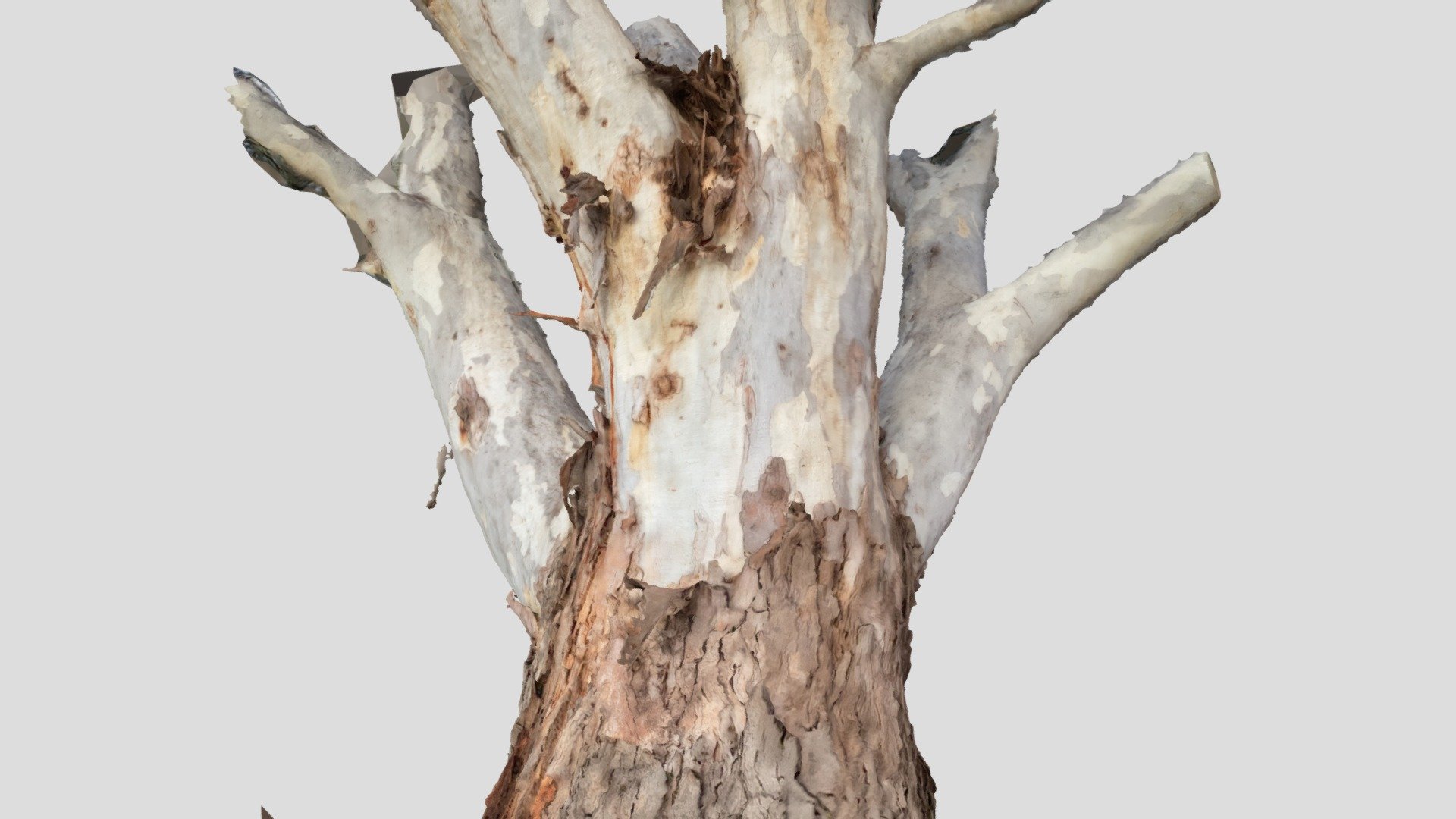 Guntree 6 - Download Free 3D model by MattMakesSwords - Scans ...