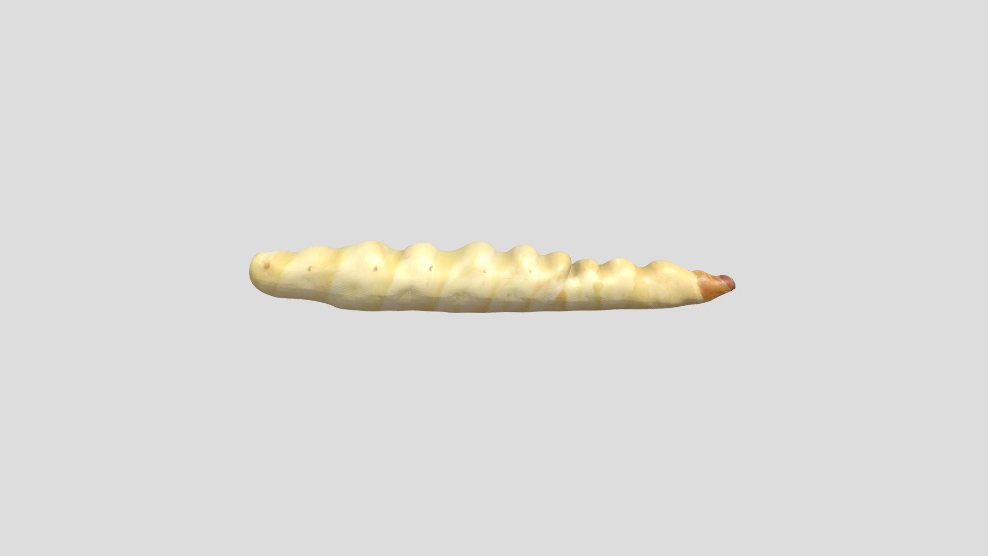 Food Worm - Download Free 3D model by kep (@kepowskikepowski) [fbb94d1 ...