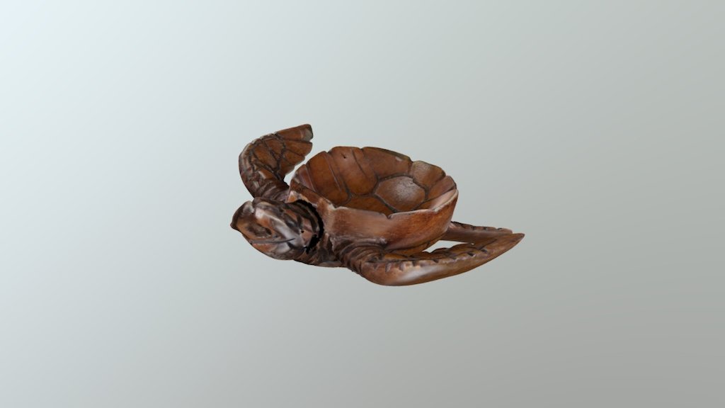 Wooden Turtle - 3D model by Tinac Chen (@tinac_chen) [fbc134d] - Sketchfab