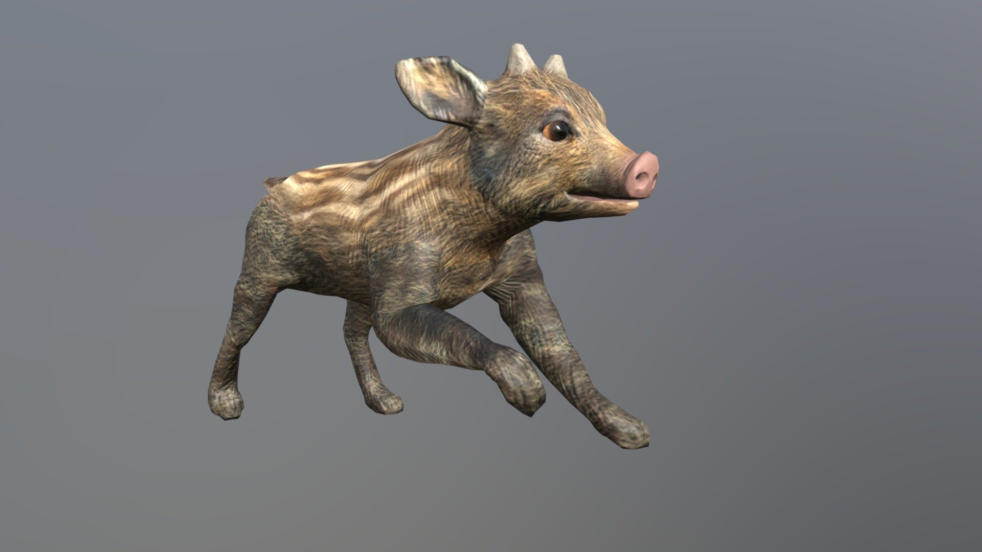 Shoat - 3D model by Marlene Bucka (@TheKunterbunter) [fbc9b06] - Sketchfab