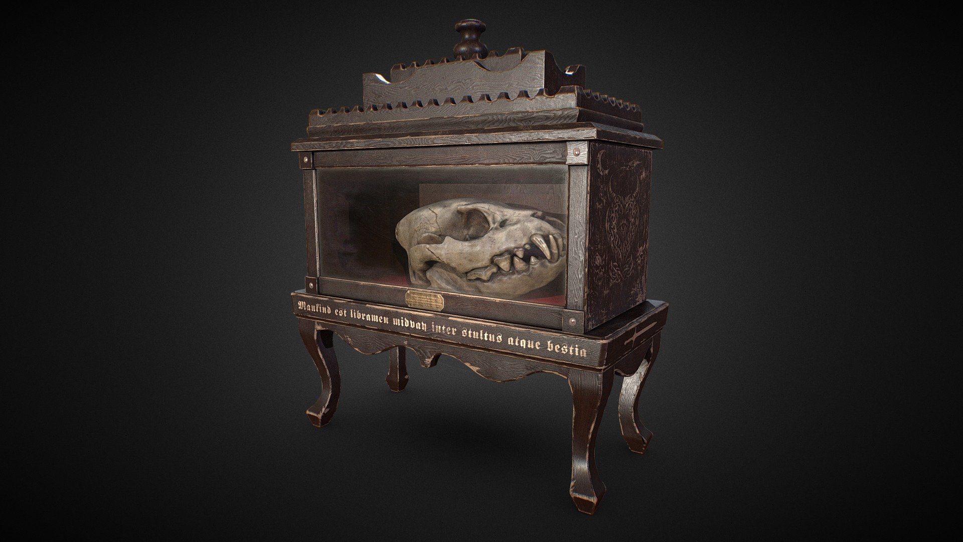 Antique curiosity skull cabinet - Download Free 3D model by ...