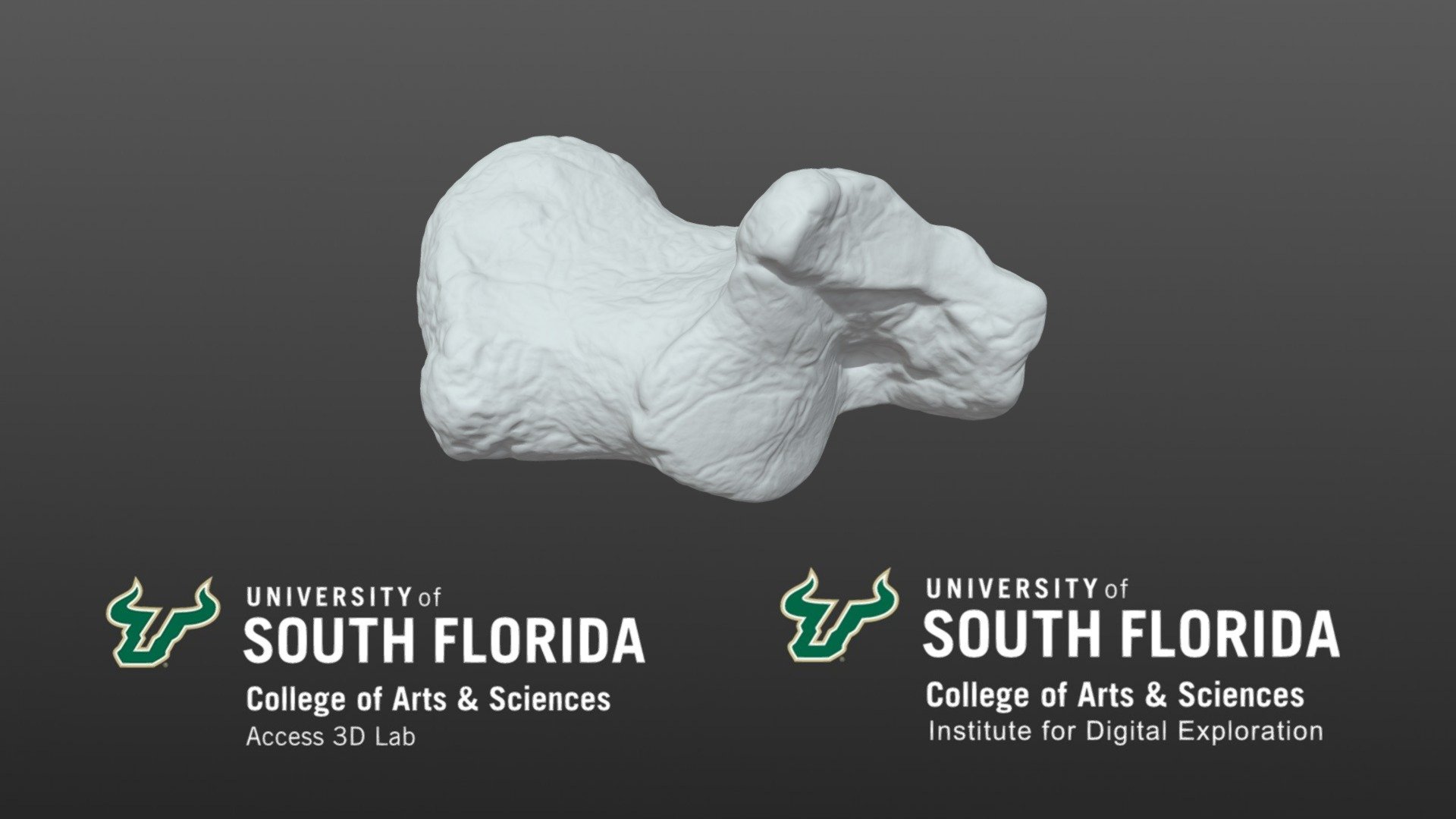 Right Calcaneus (03) - 3D model by access3d [fbcb835] - Sketchfab