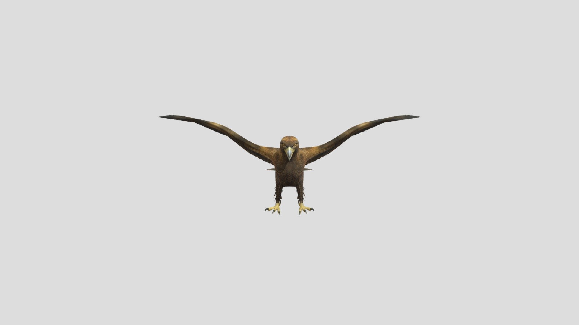 Eagle - Download Free 3D model by hendrikReyneke [fbcbdaa] - Sketchfab