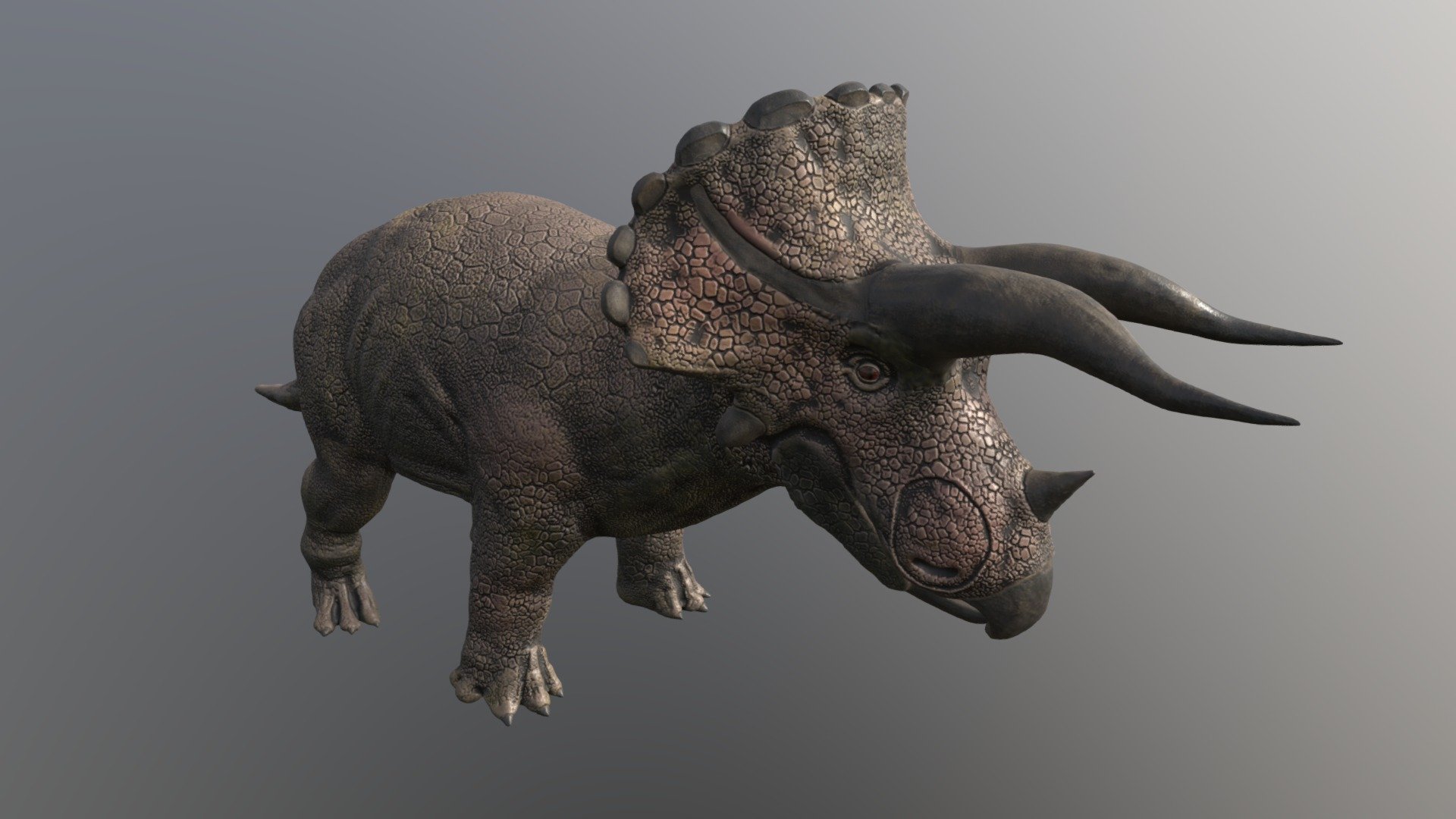 Triceratops_Realistic - 3D model by jacksonrobertsfilms [fbcf1a9 ...