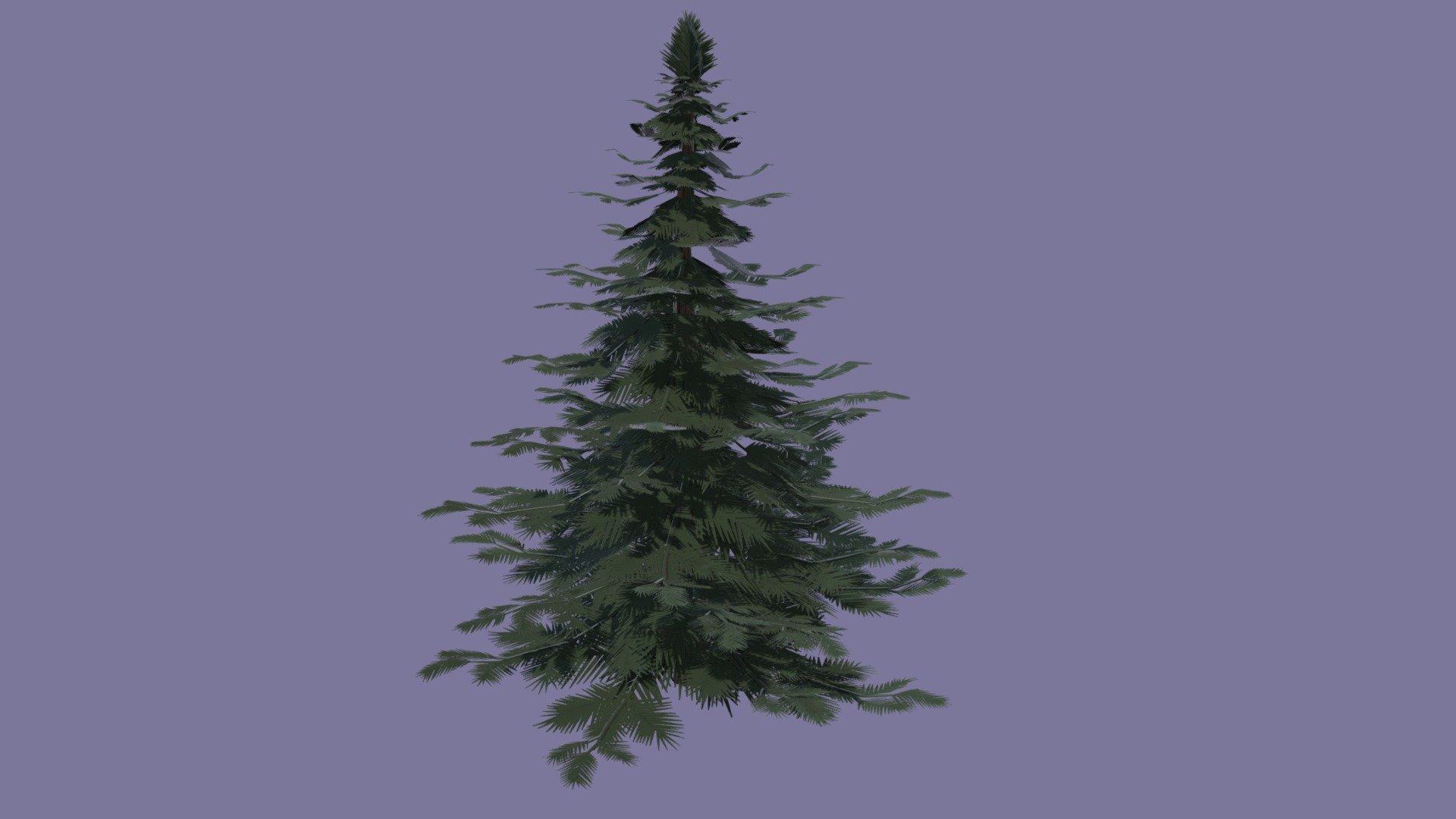 Pine_Tree - Download Free 3D model by JAdams (@IGamEFry88) [fbd6569 ...