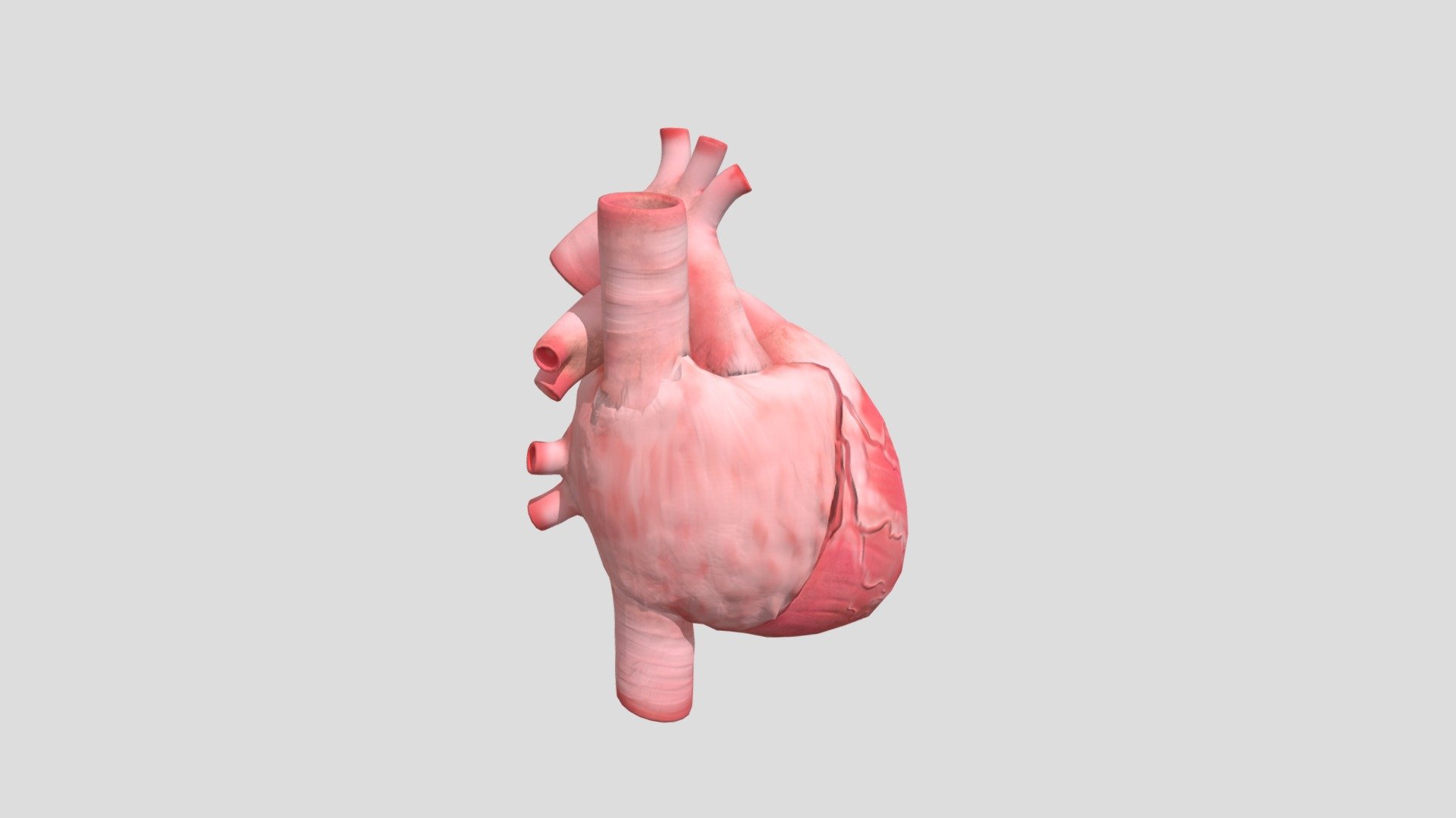 Heart - 3D model by jason.odsouza [fbd7179] - Sketchfab