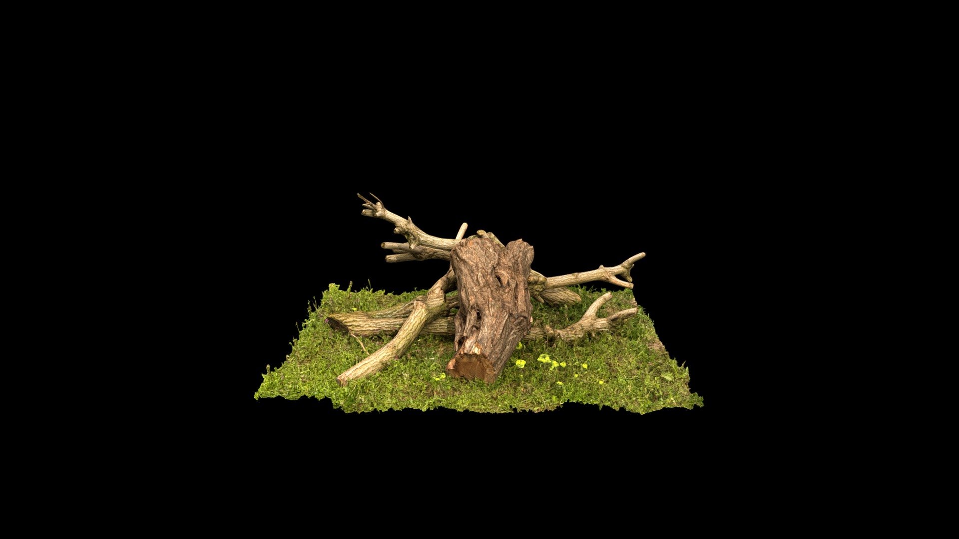 Cut Trees - Download Free 3D model by nuclearpanda [fbdf5be] - Sketchfab