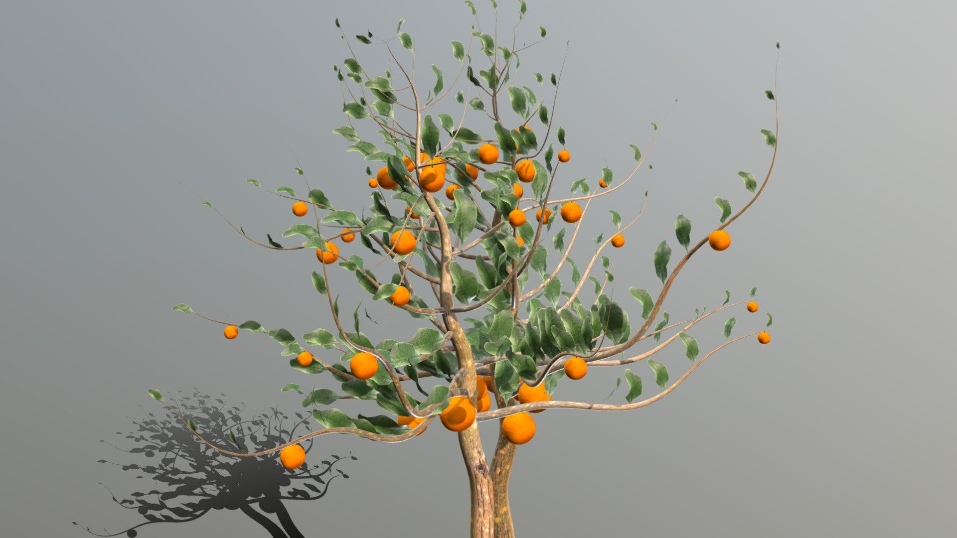 Orange Tree - Detailed - Buy Royalty Free 3D model by ramakarl [fbe194c ...