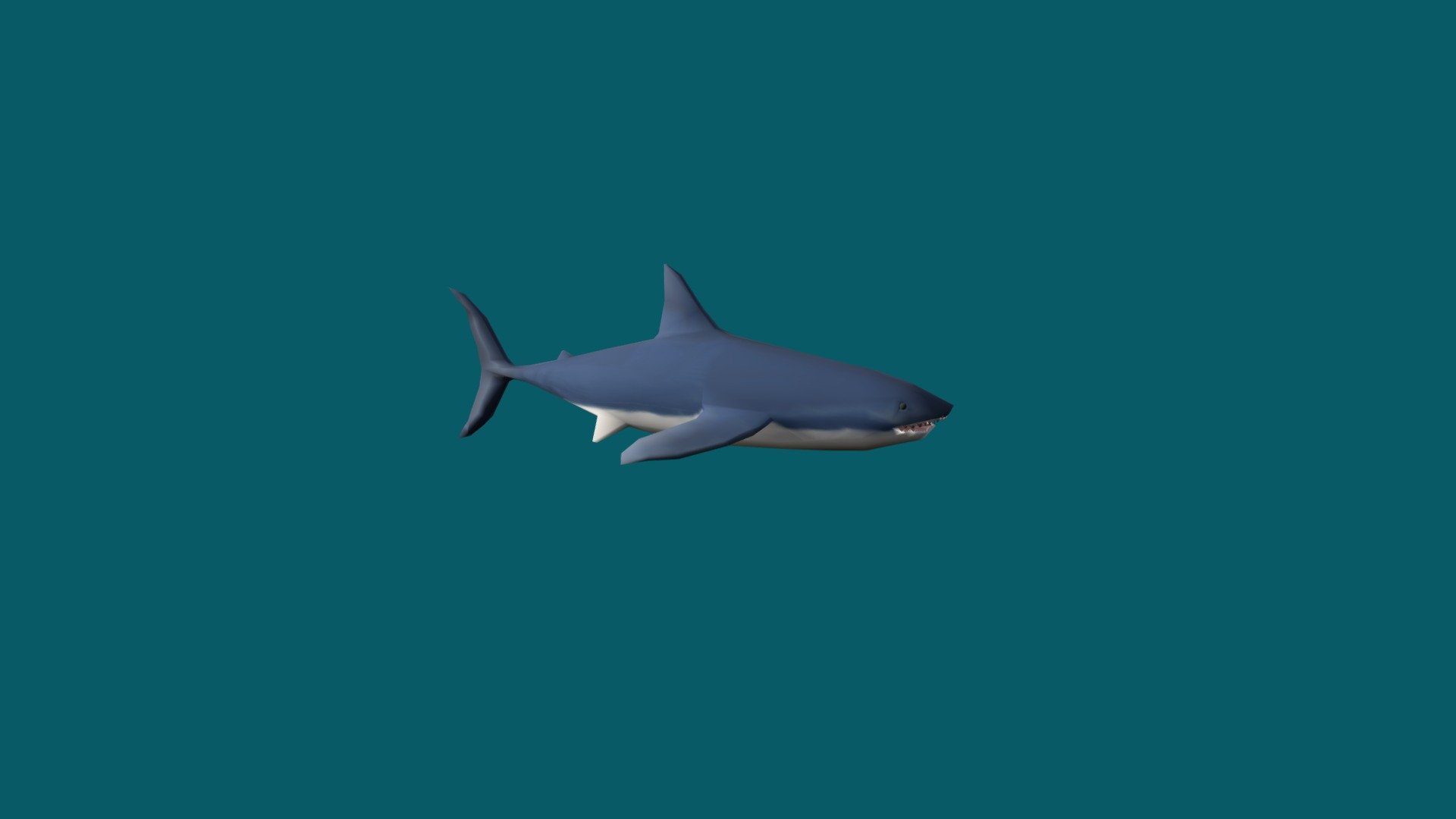 Shark - Download Free 3D model by jomajo1988 [fbe3e38] - Sketchfab