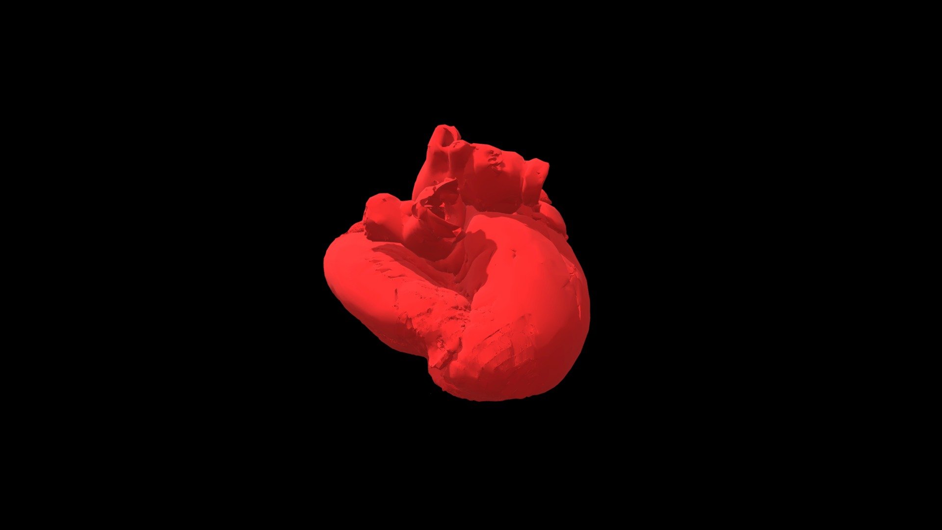 Human Heart #0013 Tissue Model - 3D model by VisibleHeartLabs [fbe63a0 ...