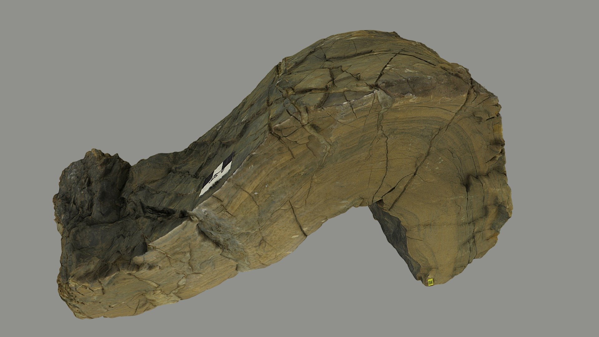 Folded gneiss (meta-arkose), Austria - Download Free 3D model by Sara ...